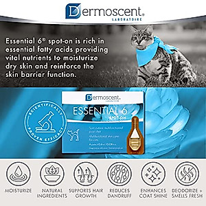 Essential 6 spot-on for Cats - Skin Care for Dandruff Dry or Oily Skin & Hair Loss - Natural Essential Oils & Fatty Acids - Healthy Skin & Coat - 4 Pipettes of 0.6 ml / 0.08 fl. oz