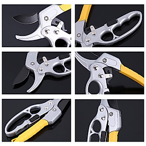 ATAAY Garden Shears Professional Gardening Tools Garden Pruning Shears Secateurs Tools Fr It Tree Pruning Scissors Bonsai Branch Pruners Gardening Secateurs Trimmer Tools,Gardening (Red)