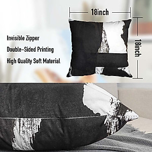 Vineland Throw Pillow Covers Set Black and White Abstract Farmhouse Cushion Case 18 x 18 Inch, Double-Sided Printing, Square Decorative Pillowcase for Home Car Sofa Decor