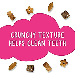 Purina Friskies Made in USA Facilities Cat Treats, Party Mix California Crunch With Chicken - (10) 2.1 oz. Pouches