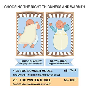 BABYINABAG Very Warm 2.5 Tog Quilted Winter Model Baby Sleep Bag or Sack, Plush Minky Dot for Infants and Toddlers (Medium (10-24 mos))