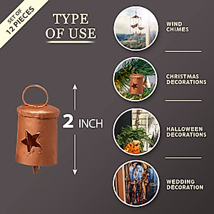 DIYANA IMPEX 12 Vintage Indian Tin Bells Rustic Chime Vintage Jingle Bell Wedding Patio Cow Bells Christmas Tree Crafts Decoration Rounded Top Wind Chime Noah (12, Gold)