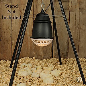 Premier 1 “Prima” Heat Lamp