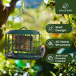 Kingsyard Squirrel Proof Suet Feeder, Cage Bird Feeders for Outdoors Hanging, All Metal, Double Suet Cake Capacity, Tray & Weatherproof, Green