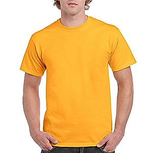 Gildan Adult Ultra Cotton T-Shirt, Style G2000, Multipack, Gold (2-Pack), Small