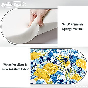 TWLEAR Indoor/Outdoor Chair Cushions 16x17 inch, Patio Chair Pads with Ties, All Weather Seat Cushions for Patio Funiture Home Garden Chair Use, Set of 2, Lemon Blossom Blue