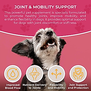 Kea Pets Doggie Condiments Joint & Mobility Support Natural Dog Supplement for Healthy Joints, Mobility, and Flexibility in Dogs