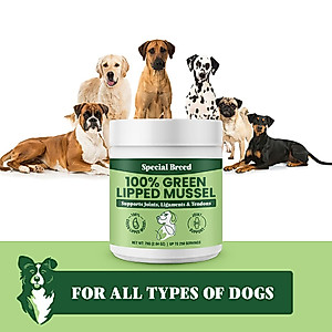 Green Lipped Mussels for Dogs & Cats - Premium Joint Supplement Powder for HIPS, Joints, and Muscles (75 Grams, Up to 250 Servings)