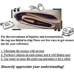 Modern Colorful Blooming Flowers Entryway Area Rug for Living Room Boho Floral Throw Rugs Non Skid Floor Mats Home Office Carpet,2'x3'