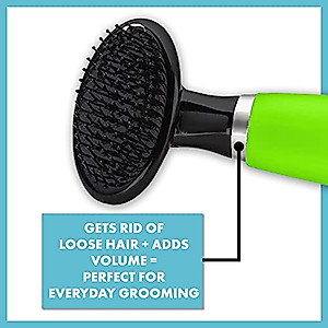 CONAIRPRO Dog & Cat Dog Brush for Shedding, Small Slicker Brush with Reinforced Metal Tips, Ideal for Smaller Breeds