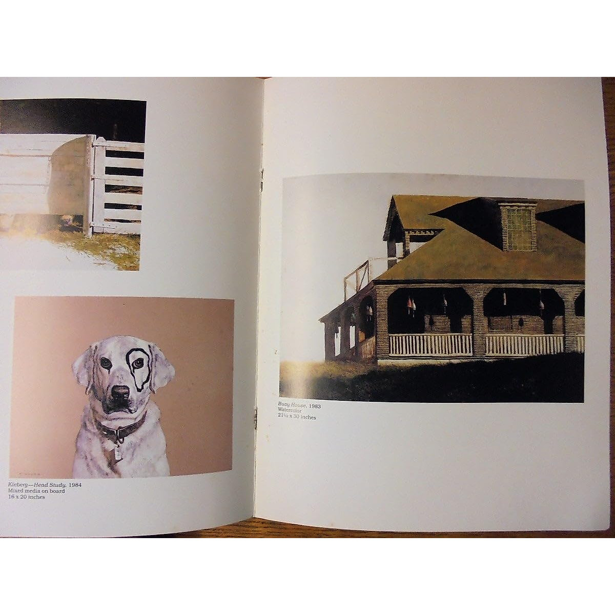 Jamie Wyeth: Recent Works, May 2-24, 1984 (An Exhibition for the Benefit of The Society of Memorial Sloan-Kettering Cancer Center)