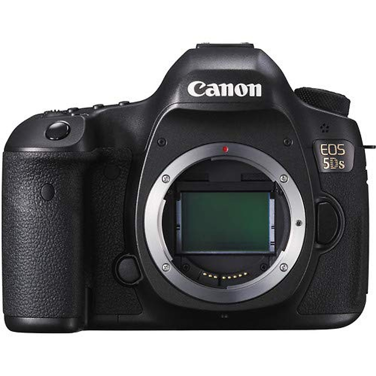 Canon EOS 5DS DSLR Camera (Body Only) 0581C002 - Pro Bundle with Sandisk Extreme 32GB SD, LED Light Kit, 12" Gripster, Gadget Bag, HDMI Cable and More