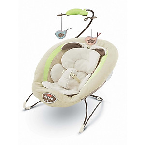 Fisher-Price Snugabunny Deluxe Bouncer