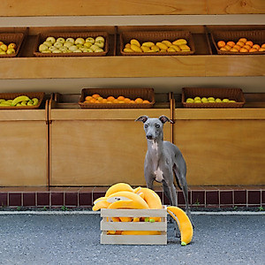 CHEWFFON Dog Toys, Dog Banana Toy, Dog Plush Toy, Squeaky Dog Toys, Dog Chew Toys, Dog Stuffed Toys for Boredom, Cute Soft Puppy Gifts Toy for Small, Medium and Large Size Dogs (Banana)