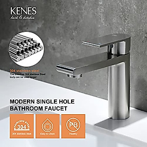 KENES Modern Single Hole Bathroom Faucet, Single Handle Bathroom Sink Faucet Brushed Nickel, Stainless Steel Lavatory Vanity Faucet with Deck Plate & Supply Lines Fit for 1 or 3 Hole KE-9008