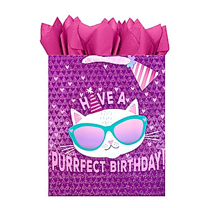 Blue House Group Premium Birthday Gift Bags + Tissue Paper (4 Large Bags + Tissue, Birthday Girl)