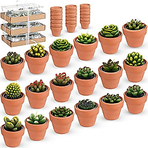 18 Pcs Succulent Cactus Tealight Candles Handmade Tea Lights Baby Shower Plant Candle Gift with Mini Terracotta Clay Candle Holders for Birthday Christmas Wedding Party Home Decoration (Cute)