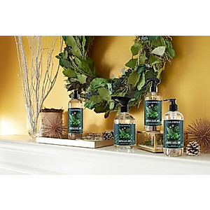 Caldrea Multi-Surface Countertop Spray Cleaner, Made with Vegetable Protein Extract, Juniper Laurel Mint Scent, 16 oz