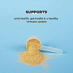 Ancient Nutrition Protein Powder Made from Real Chicken and Beef Bone Broth, Vanilla, 20g Protein Per Serving, 20 Serving Tub, Gluten Free Hydrolyzed Collagen Peptides Supplement