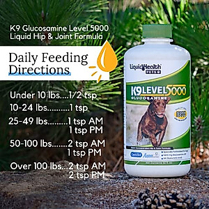 LIQUIDHEALTH 32 Oz K9 Liquid Glucosamine for Dogs Level 5000 with Glucosamine Chondroitin, Dogs MSM, Boswellia Serrata – Dog Hip and Joint Health, Dog Vitamins for Dog Joint Pain, Dog Joint Oil