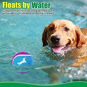 EXPAWLORER Squeaky Tennis Balls for Dogs-12 Pack High Elastic Dog Balls for Aggressive Chewers,Interactive Dog Chew Toys for Training, Fetching, Chewing, Playing for Dogs Christmas Toys