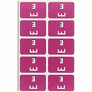 Smead AlphaZ ACCS Color-Coded Alphabetic Label E, Purple, 100 Labels per Pack (67175)