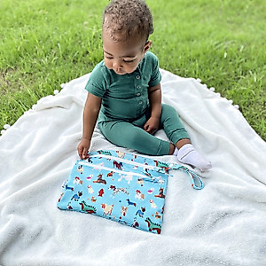 BapronBaby Dog Dress-Up Wet Dry Bag - Waterproof Two Zipper Pockets - Reusable for Mealtime, Diapers, Stroller, Snacks, Swimsuits - Machine Washable - 11" x 9"