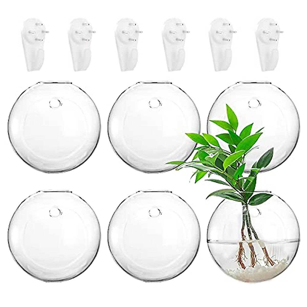 yarlung Set of 6 Wall Hanging Planters Terrarium, Glass Oblate Globe Plants Containers Wall Mount Flower Vase for Propagating Hydroponics Plants, Air Plants (Plants Not Included)