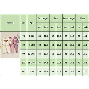FIOMVA Daddys Girl Baby Clothes Toddler Fall Winter Outfits Sweatshirt Pants 2 Piece Set Shirt Sweatpants Suit (H Embroidered Daddy's Girl Purple, 2-3 Years)