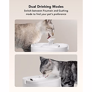 PETLIBRO Cat Water Fountain with Wireless Pump, 2.5L/84oz Dockstream Automatic Pet Water Fountain, Easy to Clean & Assemble, BPA-Free Cat Fountain Water Bowl, Dog Water Dispenser with Two Flow Modes