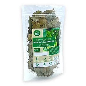 Yerbero - Hoja De Guanabana Entera ( .75 oz - 22gr ) Whole Dried Graviola Soursop Guanabana Leaves, Organic Whole Leaf ,100% All Natural Delicious| 20+ Servings | From Mexico | Premium Wildcrafted Quality.