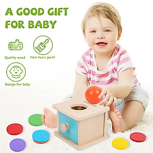 Adena Montessori Coin Box,2 in 1 Object Permanence Box Toys for 1 Year Old Baby Coins,Wooden Montessori Ball Drop Toys Developmental Toys for 6-12 Month Infant Toys,Learning Kids Gifts(Blue Door)