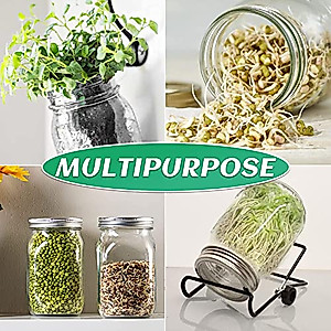 Seed Sprouting Jar Kit with 1 Wide Mouth Mason Jars Bean Sprouts Growing Kit Microgreens Growing Jar with Mesh Screen Lids Sprouter Sprouts Maker for Growing Broccoli, Alfalfa, Mung Bean