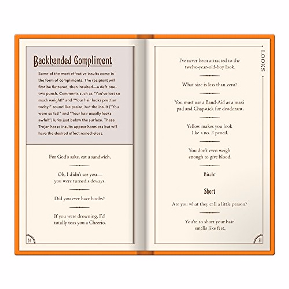 Insults and Comebacks for All Occasions