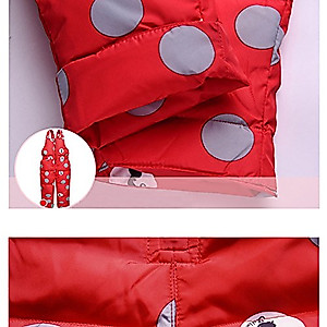 Baby Girls Snowsuit Toddler Puffer Hooded Jacket + Bib Pants 2 Pieces Set Grey 100 Large