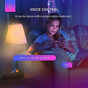 YEELIGHT Alexa Light Bulb, Smart Light Bulbs, Smart Bulbs That Work with Alexa & Google Home, Razer Chroma, A19 RGBW LED WiFi Light Bulbs No Hub Required, 60W Equivalent 900LM CRI>80 2 Pack