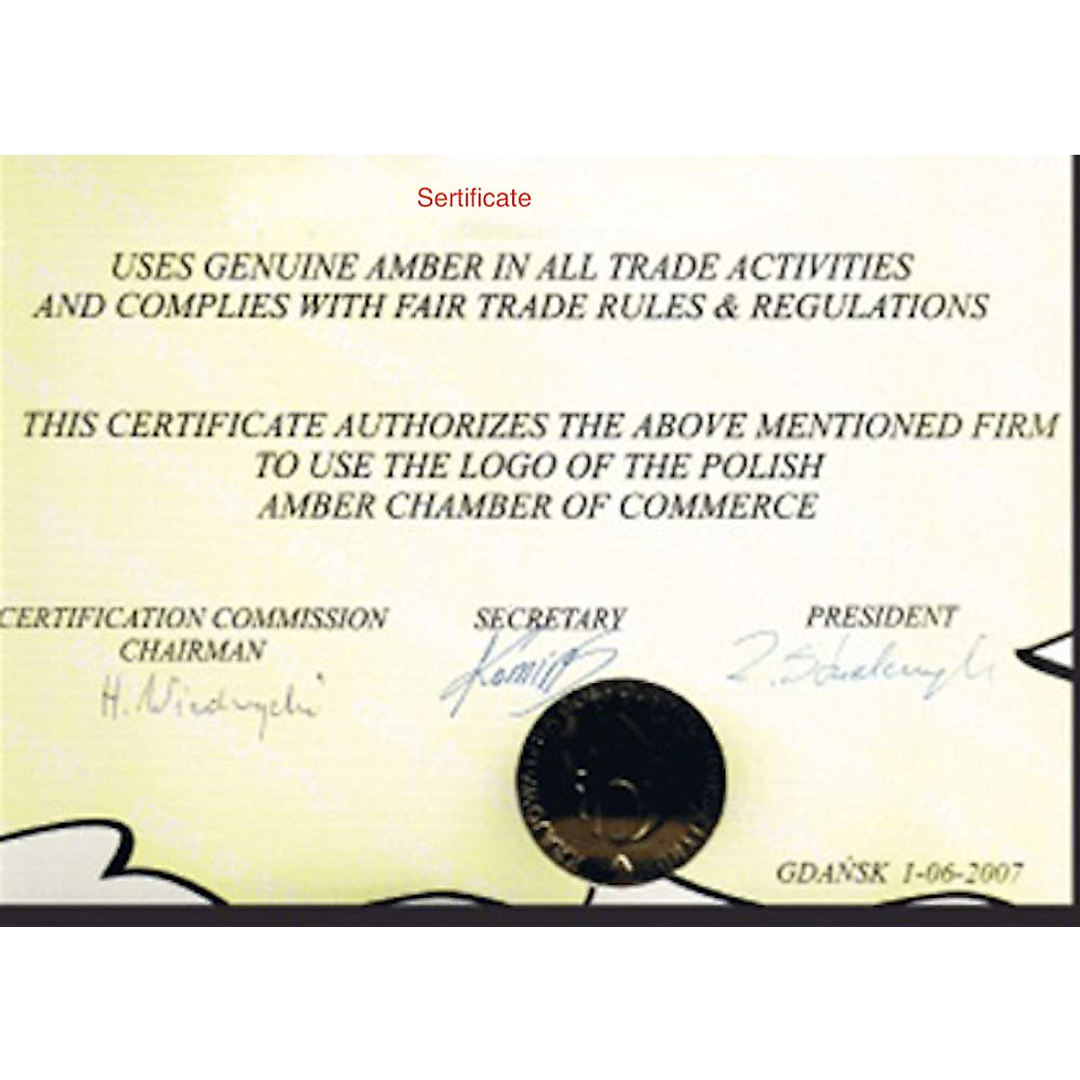 Ian and Valeri Co. Black Cherry Amber Sterling Silver Earrings