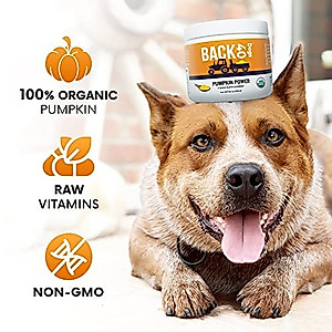 BACK 40 Dogs Pumpkin Powder for Dogs, Powdered Pumpkin for Dogs with Vitamins A, C & E, Fiber-Rich Vitamins for Optimal Pet Health, Combat Constipation, Dog Multivitamin for Digestive Health, 8.1 oz