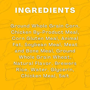 Pedigree Small Dog Food Dry Tender Bites Bundle | Includes 2 Bags of Chicken & Steak Flavor Pedigree Dog Food Dry Tender Bites (3.5 LB) | Plus Paw Food Scoop!