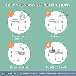 The Cat Ladies Cat Grass Growing kit with Organic Cat Grass Seed, Soil and Two Ceramic Planters with Bamboo Trays Natural Hairball Remedy