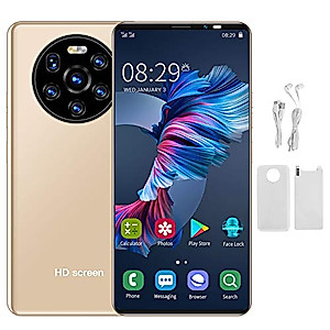 Diydeg 5.45in HD Screen Phone, LANDVO Mate40 Pro 3G 1GB+8GB 500W+200W Pixels Camera Dual Card Dual Standby Phone, for Gift Man(Golden)