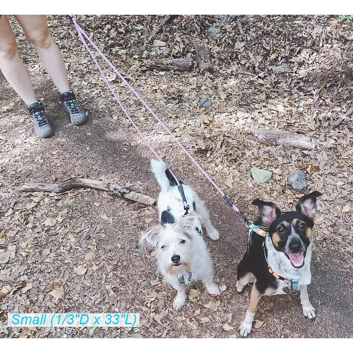 Mycicy Double Dog Leash Coupler, Extension Rope for Two Dogs, No Tangle Dual Dog Lead Splitter for Small Medium Dogs 10-35 lbs (1/3" X 33"- Pinkblue)