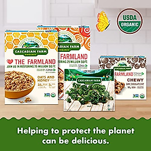 Cascadian Farm Organic Raisin Bran Cereal, 12 oz (10 Pack)