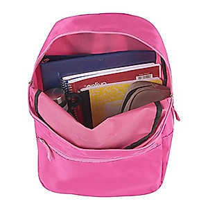 Trailmaker Classic 17 Inch Backpack with Adjustable Padded Shoulder Straps (Pink)