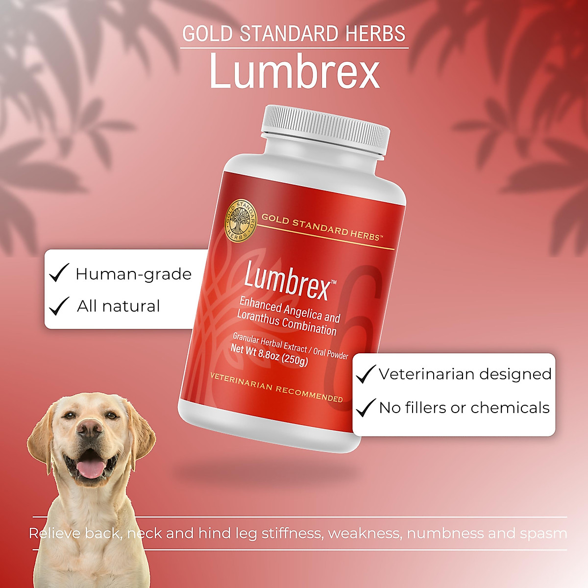 Lumbrex Joint Pain and Stiffness Relief Supplement for Dogs by Gold Standard Herbs, All Natural Angelica Root and Loranthus, 250 gram Powder