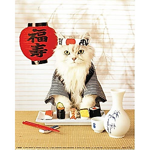 YISUMEI 40" x 50" Blanket Comfort Warmth Soft Plush Throw for Couch Sushi Cat Japanese Cute Funny Kitten