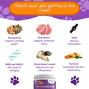 PawPuk Paws Joint & Mobility Supplements for Dogs, Glucosamine, Chondroitin, MSM – Anti Inflammation, NMN & CoQ10 - Antiaging, Green-Lipped Mussel, Turmeric