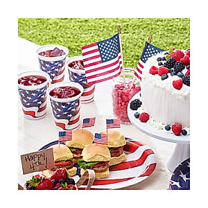 Medium Plastic Serving Tray- Red, White and Blue Patriotic