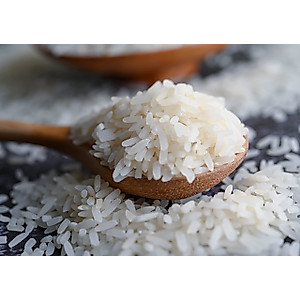 Food to Live - Organic White Jasmine Rice, 10 Pounds - Non-GMO, Long-Grain Rice Variety, Raw, Vegan