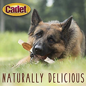 Cadet Gourmet X-Large Triple-Flavored Beef Hide Shish Kabob Dog Treats - Healthy & Natural Chicken, Liver, and Sweet Potato Dog Treats for Dogs Over 30 Lbs., 10 in. (4 Count)